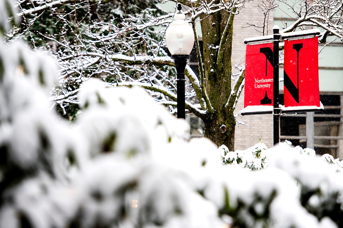 NU PLACE Services | Northeastern University